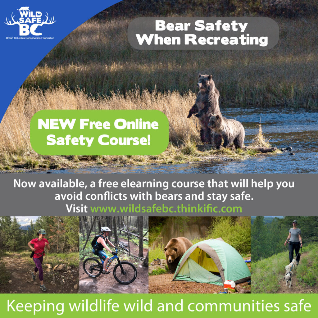 Courses and Training – WildSafeBC