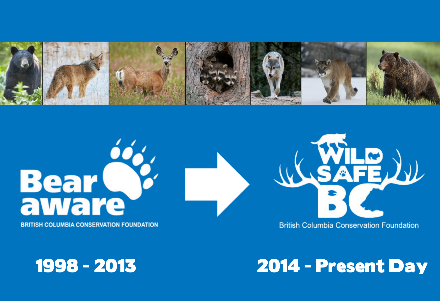 New Name – WildSafeBC